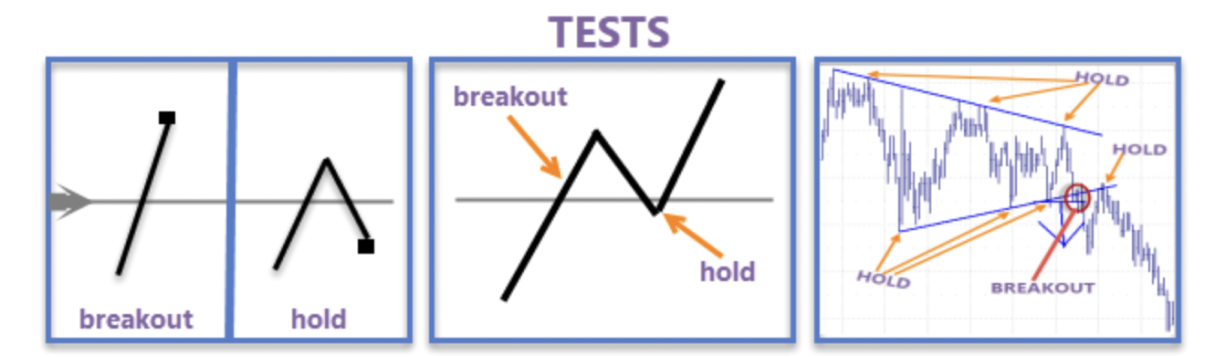 Understanding Signals | viditrade
